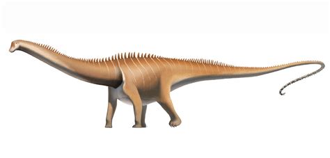 Wild Kratts Prehistoric Preview Jurassic Kratts Episode New Ideas By