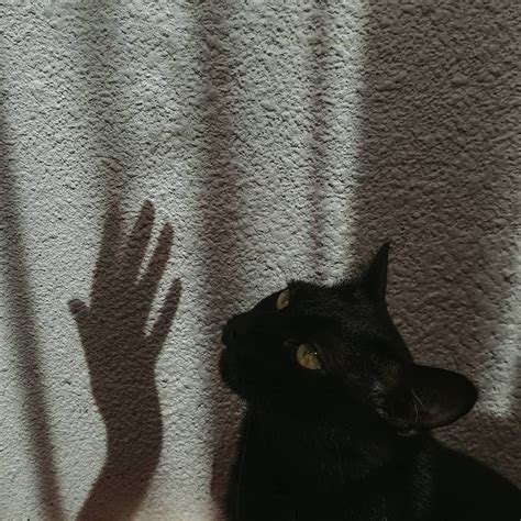 Lena Astrologer 👁️ On Instagram Marafonsa Тени