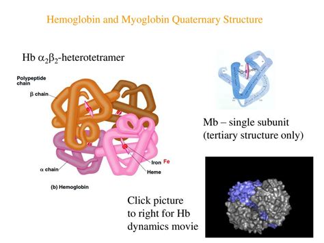 Some Powerpoint Slides Shown During Chem 641 Class 9 12 07 Ppt Download