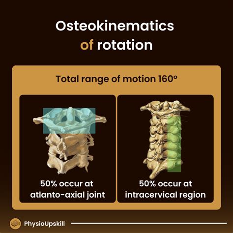 Episode30 Kinesiology Of Cervical Spine6horizontal Plane