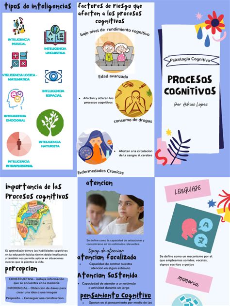 Triptico Procesos Cognitivos 2pdf Pdf Atención Cognición