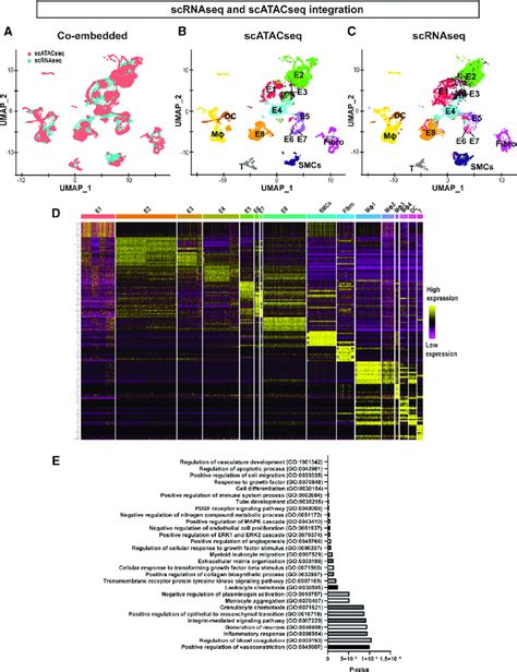 Integration Of Scrna Seq And Scatac Seq Datasets And Differential Gene