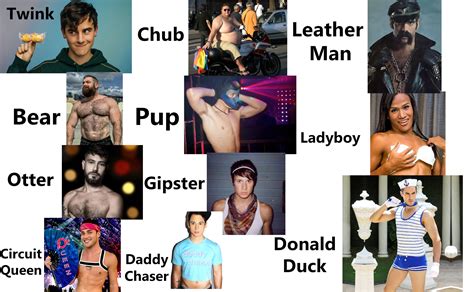 It Could Be A A Twink A Bear An Otter A Circuit Queen A Chub A Pup