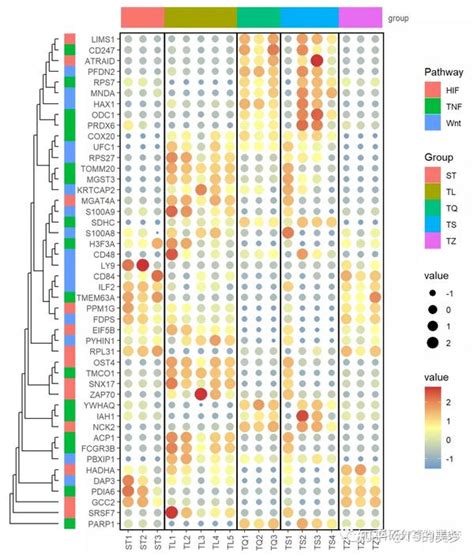 Ggplot