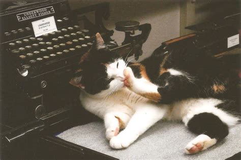 Inogic On Linkedin Power Automate Excel Write Value To A Specific Cell