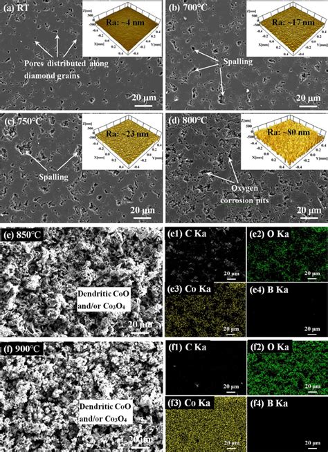 Microstructure Observed By Sem Corresponding Eds Maps And
