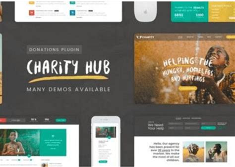 Charity Foundation Theme WP GPL Gpl Theme Plugin