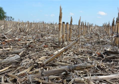 App Helps Build Healthy Soils