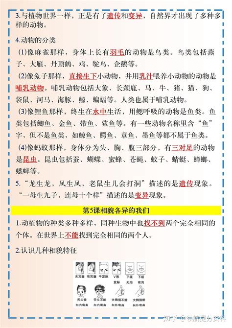 新教科版六年级下册科学全册知识点背诵版 知乎