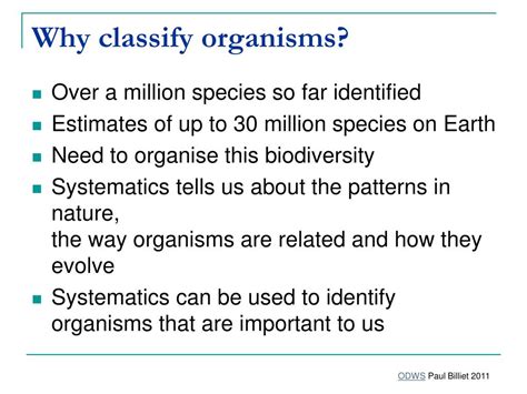 Why Is It Important To Classify Living Things At William Foxworth Blog