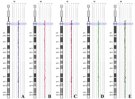 Representative Array Cgh Profiles Of Chromosome 14 From Patients N 4