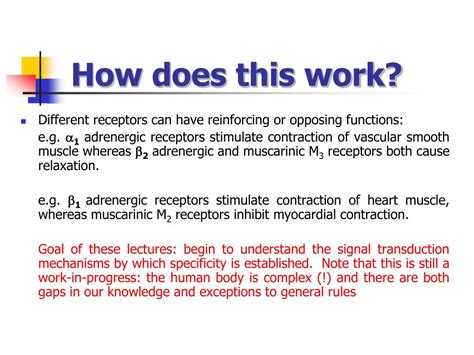 Ppt Signal Transduction By Adrenergic And Cholinergic Receptors