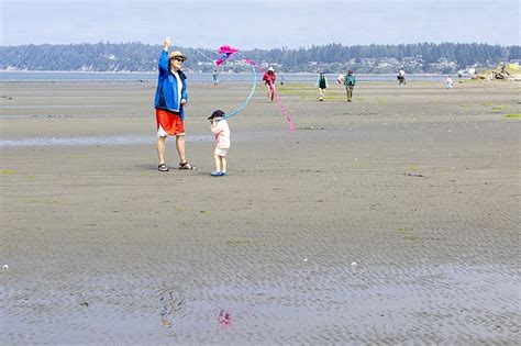 Last Weeks To Visit Jetty Island Snohomish County Tribune