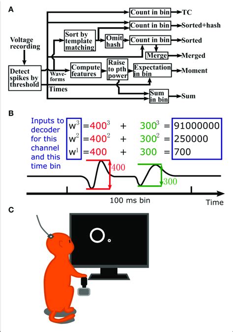 A Flowchart Of Signal Processing B Example Waveform Amplitude Download Scientific