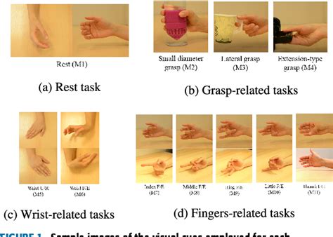Figure 1 From A Deep Learning Framework For Decoding Motor Imagery Tasks Of The Same Hand Using