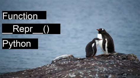 How To Use Function Repr In Python With Practical Example