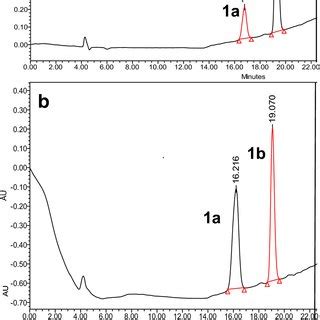 HPLC Chromatograms 200 Nm Showing A Peaks Corresponding To