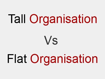 coajă etnic albină tall and flat organizational structure acolo drăguţ