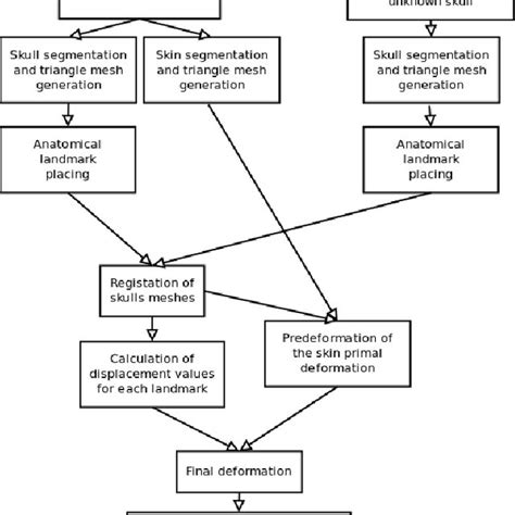 General Workflow Of The Reconstruction Procedure Download Scientific Diagram