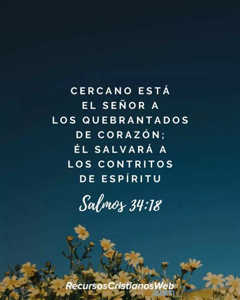 Textos bíblicos que traen paz al corazón Encuentra consuelo y