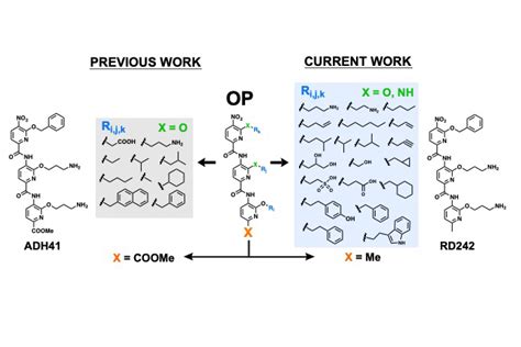 The Comparison Of The Side Chains Appended On Ops Synthesized Via The Download Scientific