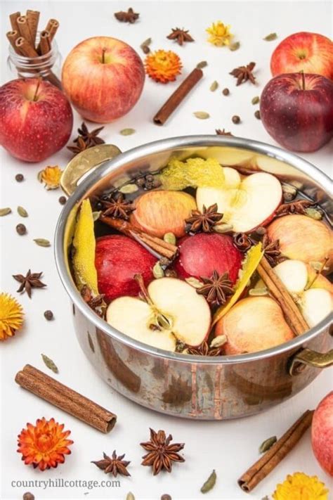 19 Easy Stovetop Potpourri Recipes For Fall Live Like You Are Rich