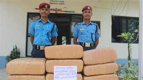 बारामा १६८ किलो गाँजा बरामद