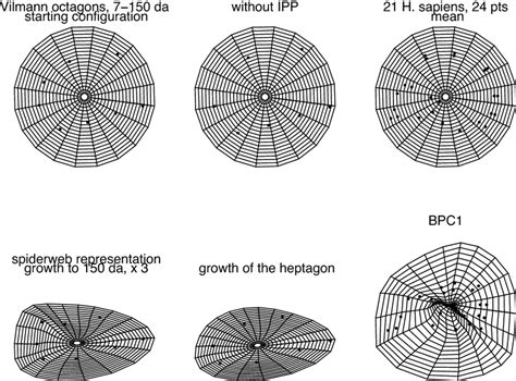 spiderweb renderings polar coordinate grids for the principal
