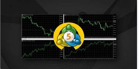 Mt5 Git連携で開発を加速！mql5 Algo Forgeを活用