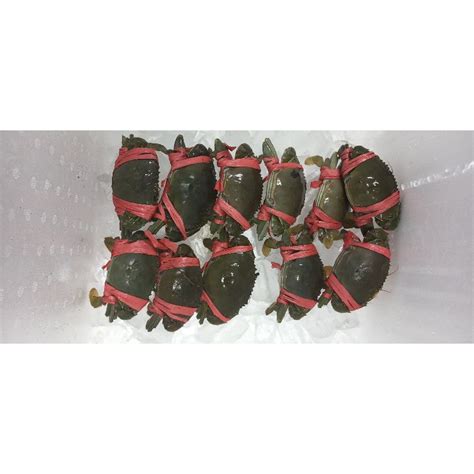 Jual Kepiting Segar Kerang Hijau Segar Shopee Indonesia