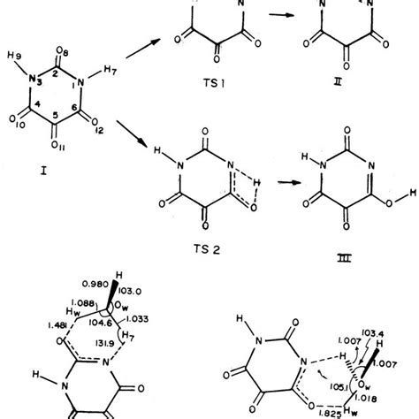 Reactions Investigated And Structures Of Transition States Download