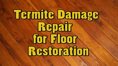 Do Termites Eat Vinyl Flooring Floor Roma