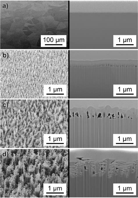 SEM Figures On Left Side Show The Top View And Figures On The Right Download Scientific Diagram