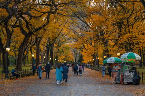 17 Lovely And Affordable Hotels In Brooklyn Many Under 200 Your