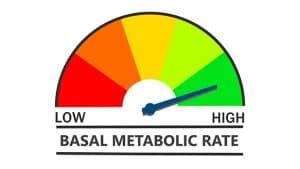 What Are Basal Rates Of Insulin TheDiabetesCouncil Com