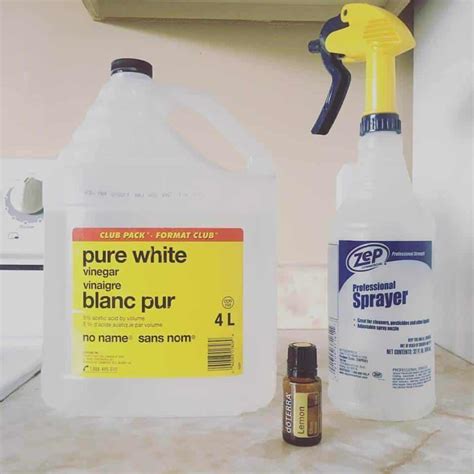 Homemade All Purpose Cleaning Spray With Essential Oils Creekside