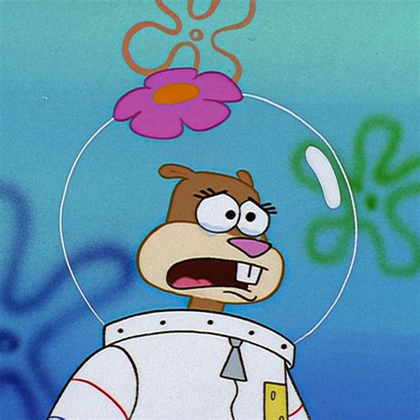 Sandy Cheeks Gallery Artofit