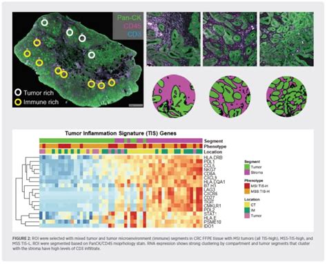 空间转录组检测靶点定量技术 digital spatial profiler（dsp） dsp空间转录组 csdn博客