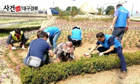 성주군 환경단체 녹우리쓰레기불법투기장소에 꽃밭조성 호응 다경뉴스