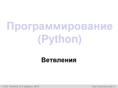 Программирование Python Ветвления 8 класс презентация онлайн
