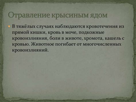 Отравление собаки. Как распознать и спасти - презентация онлайн