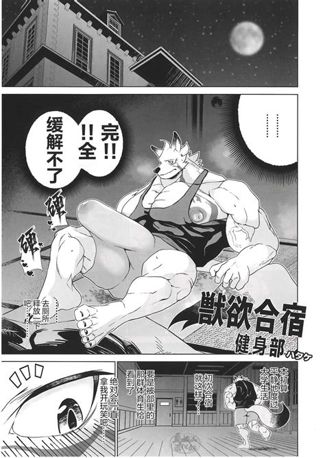Biggym Chogokin 003 Cn Page 2 Of 4 Myreadingmanga