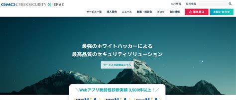 脆弱性診断（セキュリティ診断）とは？必要性や費用などを徹底解説！ 情報機動隊 Security For All Capy