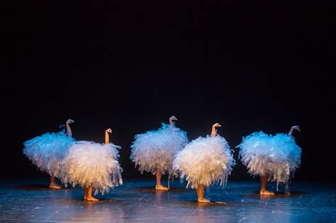 Festival Al Otro Lado Teatro Danza Música Y Circo Se Tomarán Las