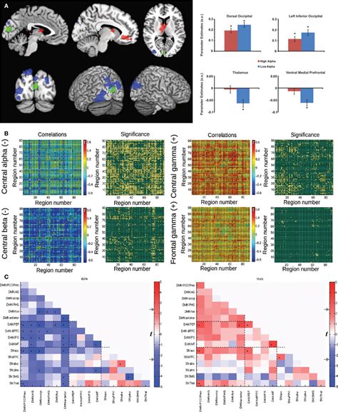 Frontiers Multimodal Imaging Of Dynamic Functional Connectivity