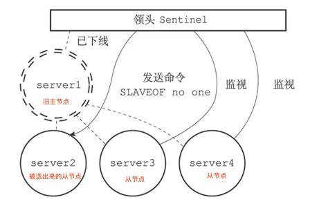 Redis探秘sentinel（哨兵模式） 程序员seven 博客园