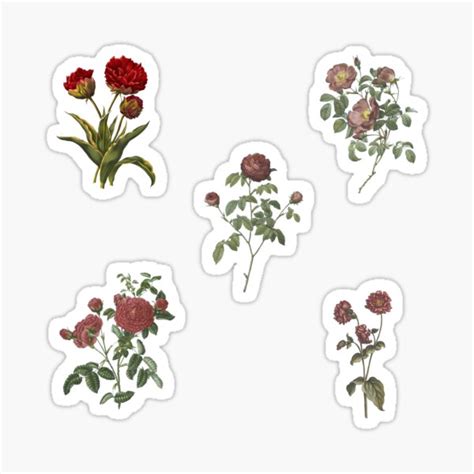 Vintage Aesthetic Flowers Sticker For Sale By Soclassy Redbubble