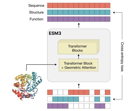 How Esm3 Ai Model Is Transforming Protein Design And Applications Geeky