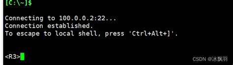 Netmiko Csdn