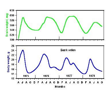 Positive Feedback Loop Graph